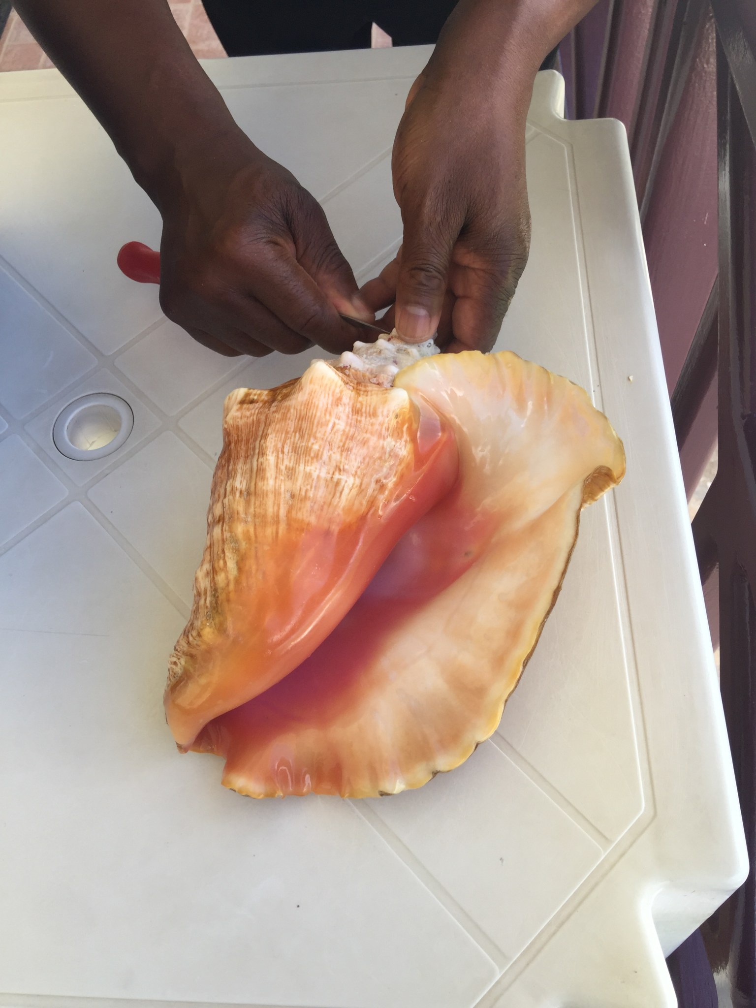 Beaches of Barbados – Bottom Bay